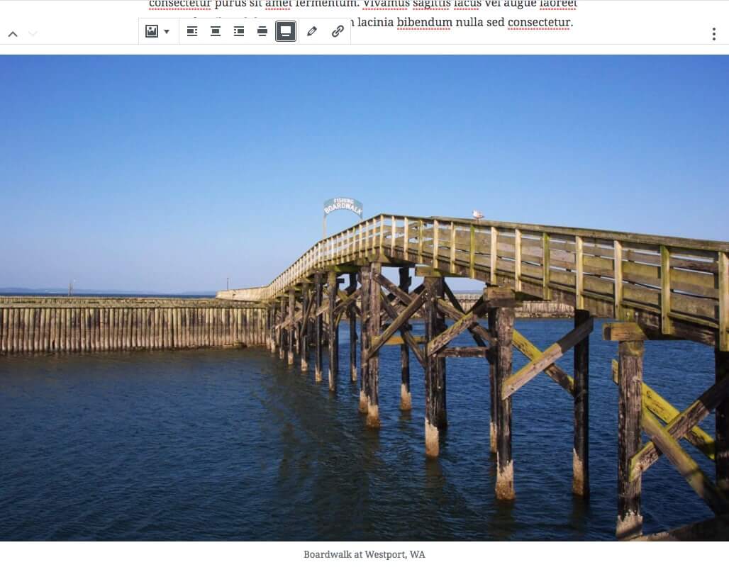 Implementing Gutenberg Image Alignment Options Into Your Theme Jason